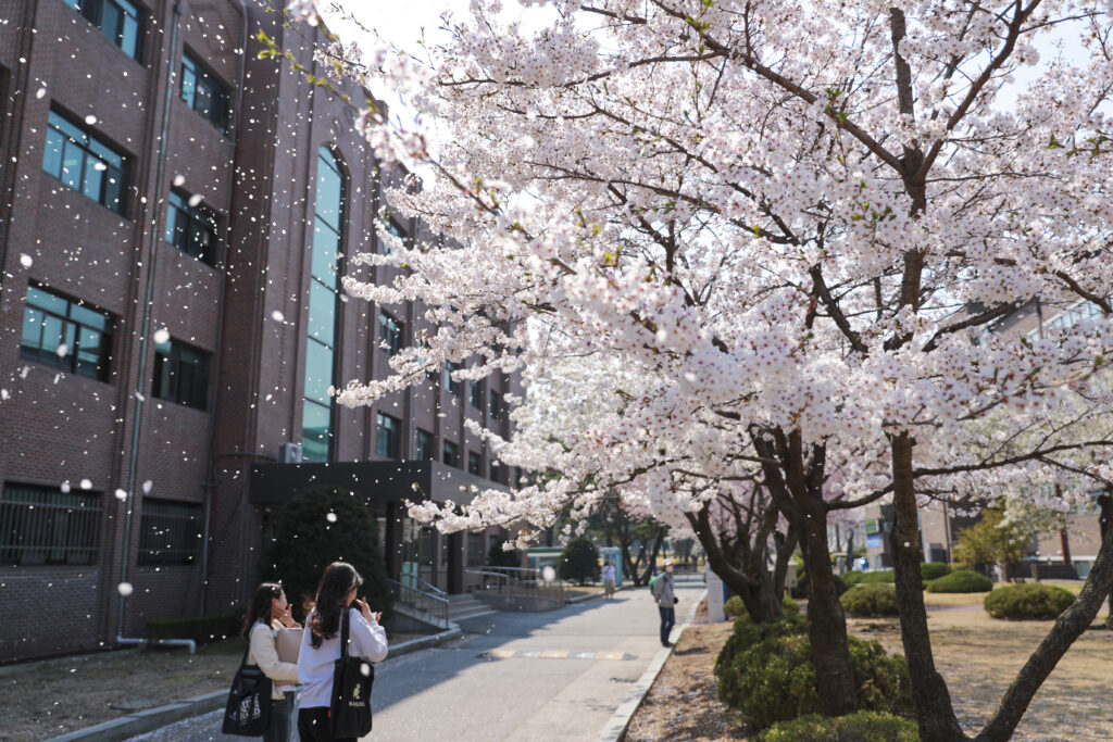 News & Events – Sahmyook University