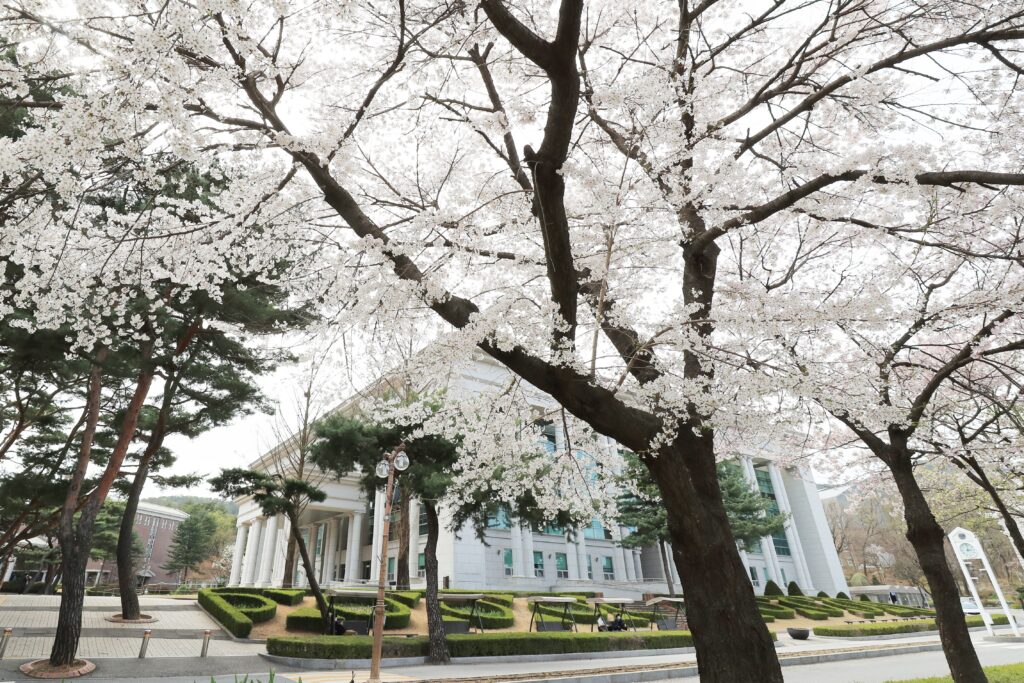 SU Campus, Selected as ‘Seoul’s 4 Best Spring Flower Hotspots’ – Sahmyook University
