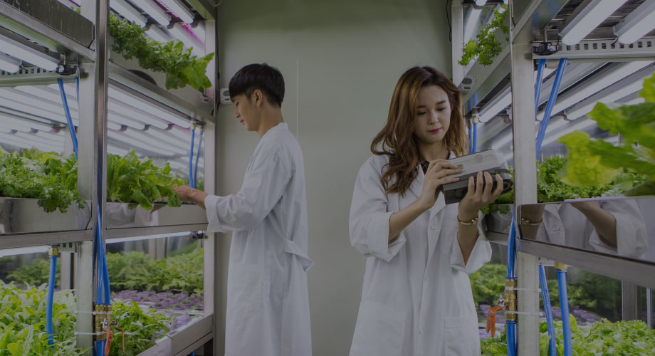 agri_bg – 삼육대학교